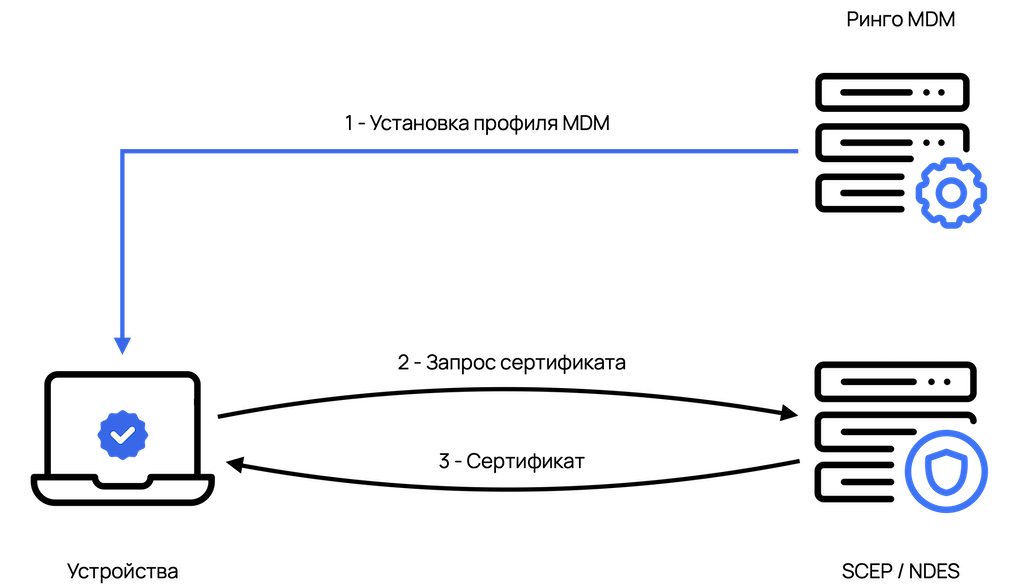 Настройка SCEP | Документация Ринго